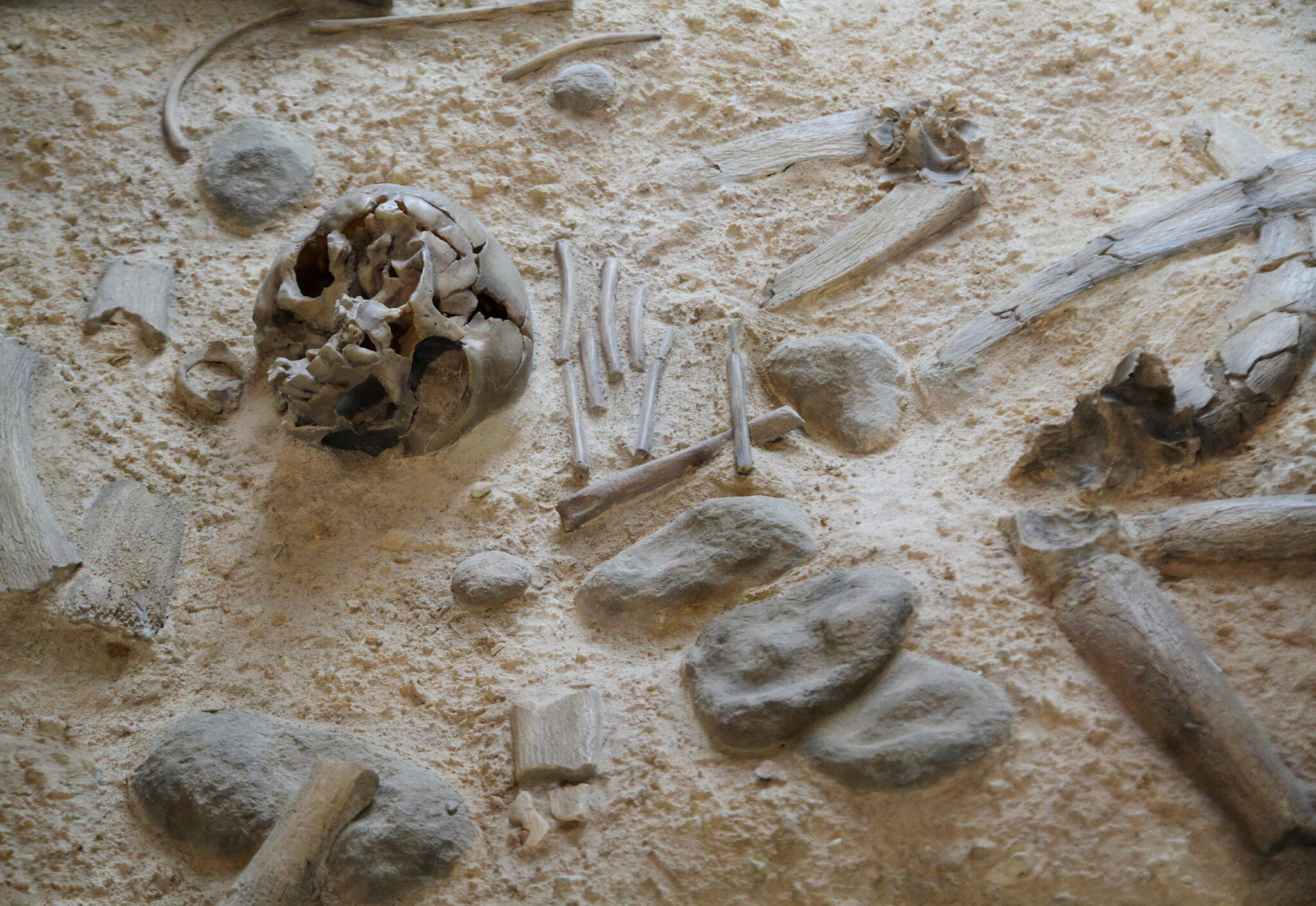 Les premières sépultures de la préhistoire - Hominides