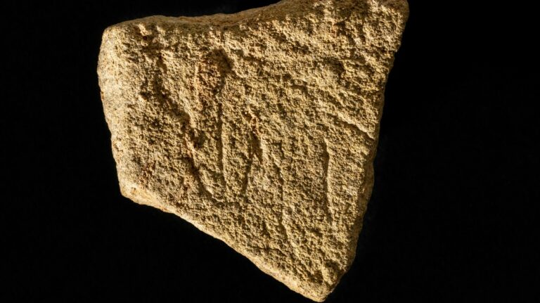 Les magdaléniens de Bellegarde (Gard) il y a 22 000 ans... - Hominides