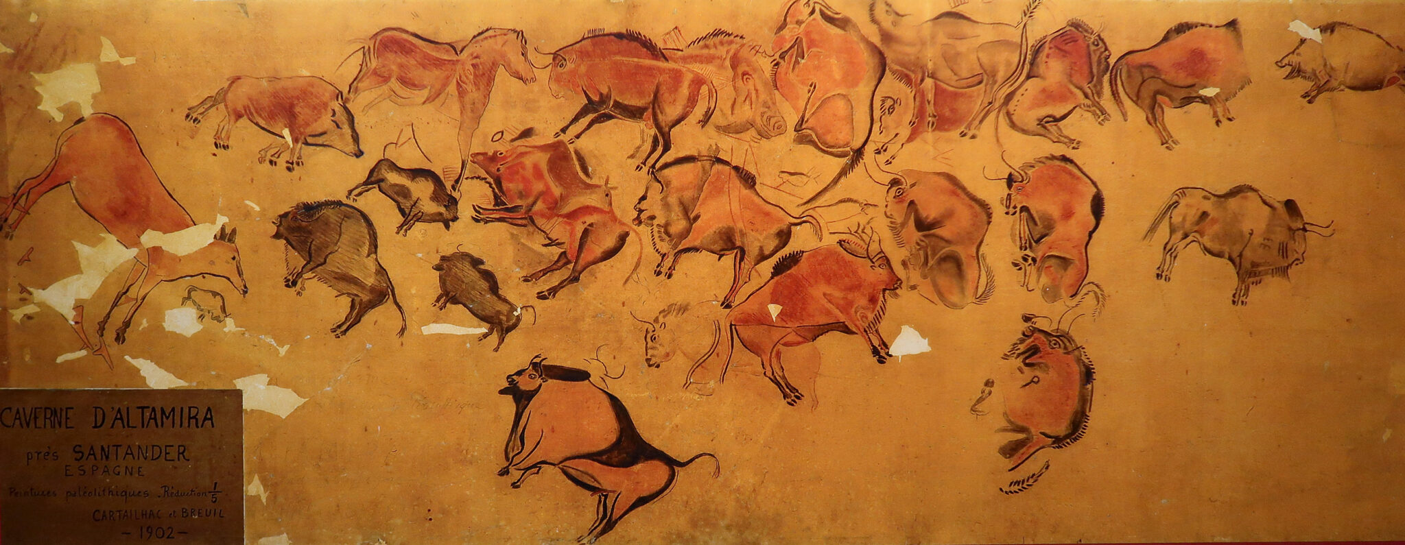 Cova Dones : découverte d’une grotte ornée de – 24 000 ans en Espagne ...