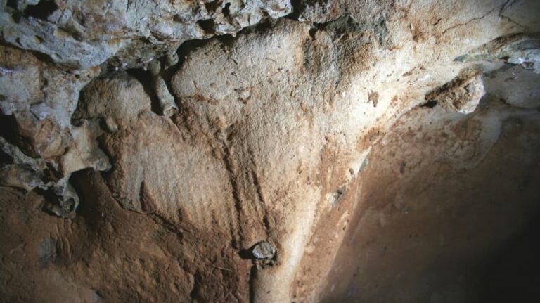 Les techniques utilisées dans l'art pariétal préhistorique - Hominides