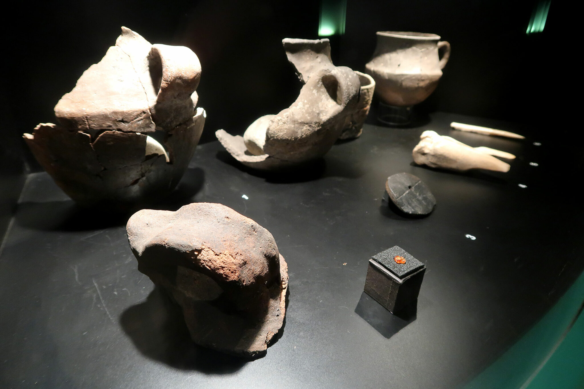 Musée d'archéologie et de Préhistoire - Val-Cenis - Hominides