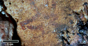 Cova Dones : découverte d’une grotte ornée de – 24 000 ans en Espagne ...