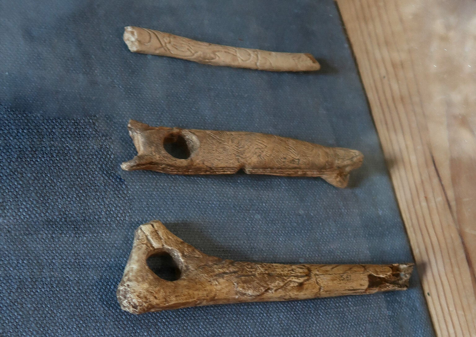 Bâton percé ou bâton de commandement - Hominides