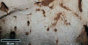 Cova Dones : découverte d’une grotte ornée de – 24 000 ans en Espagne ...