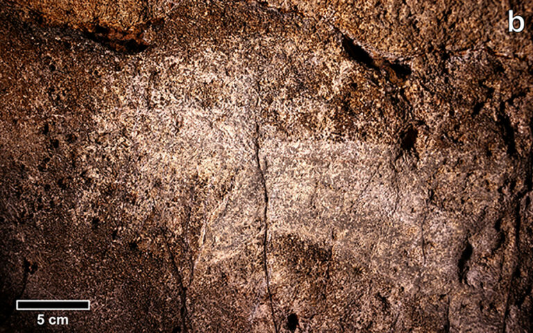 Cova Dones : découverte d’une grotte ornée de – 24 000 ans en Espagne ...