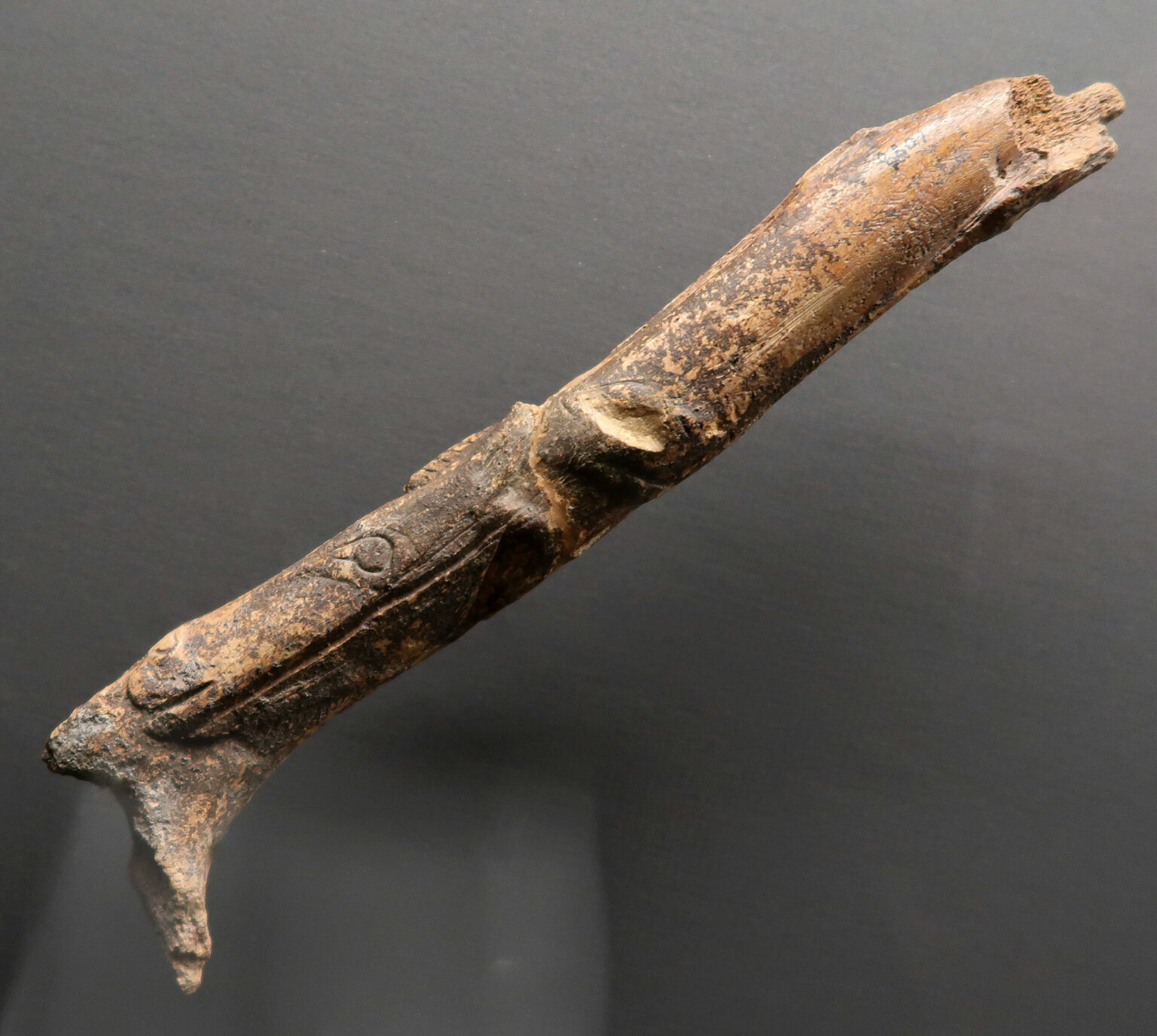 Bâton percé ou bâton de commandement - Hominides