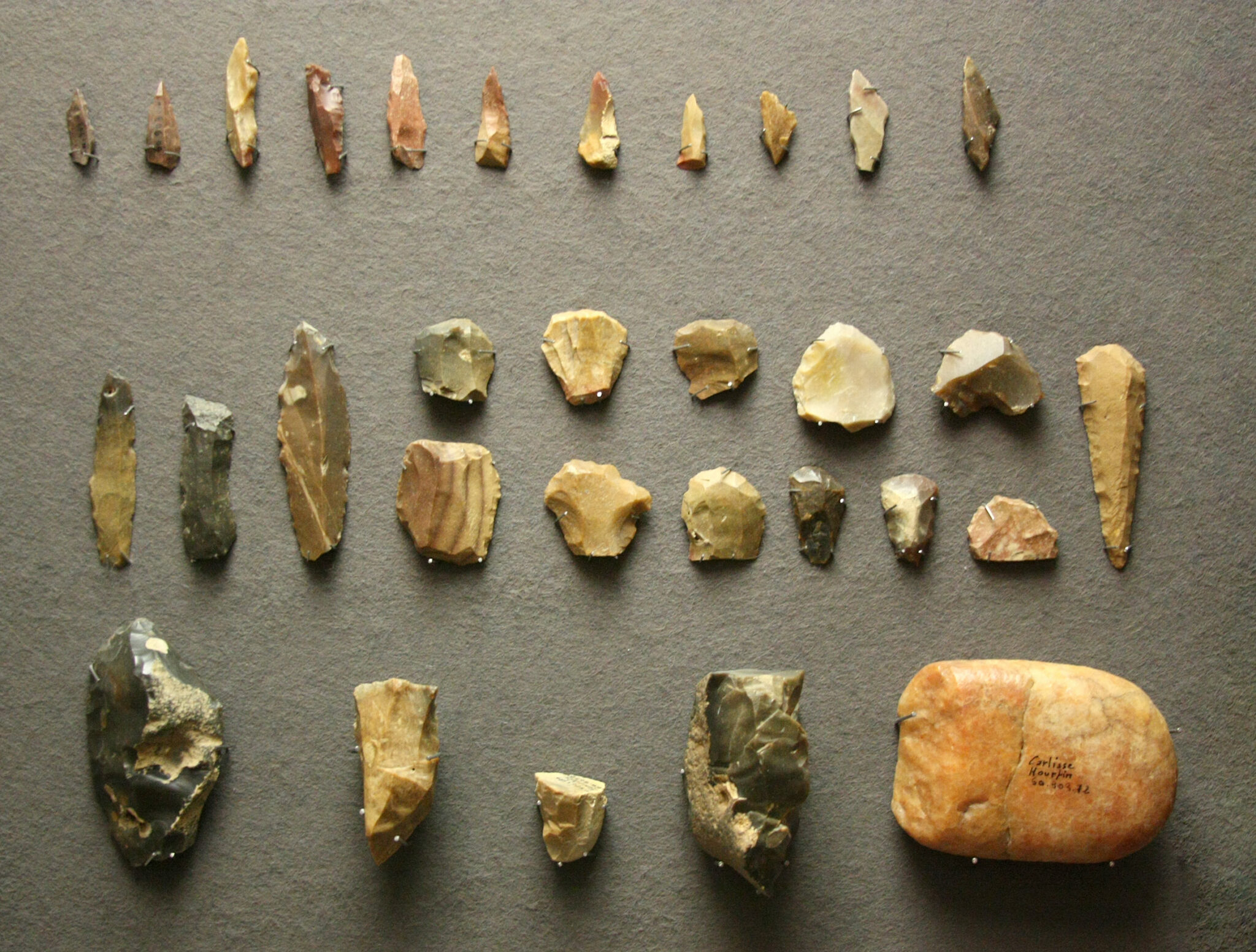 Le Mésolithique - Hominides