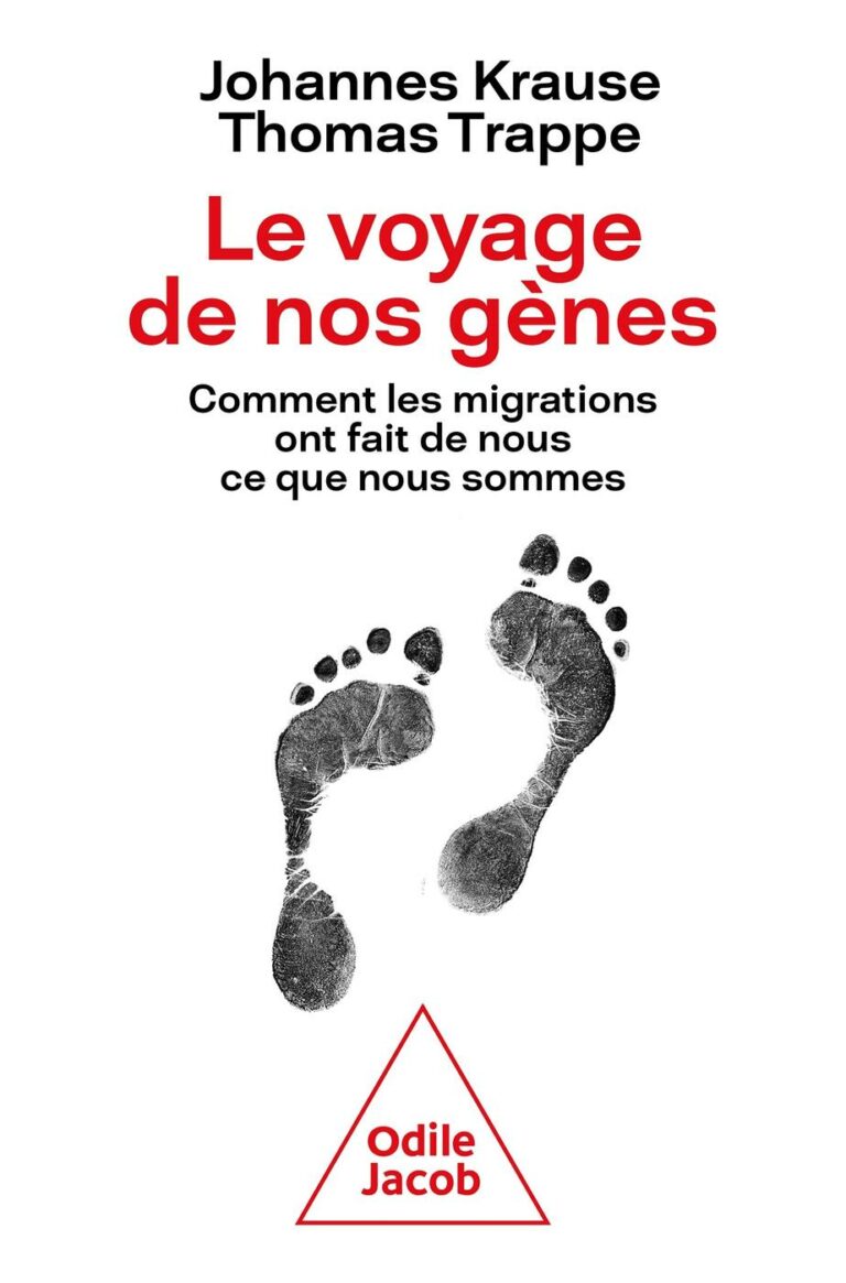 Ötzi, on avance sur ses origines - Hominides
