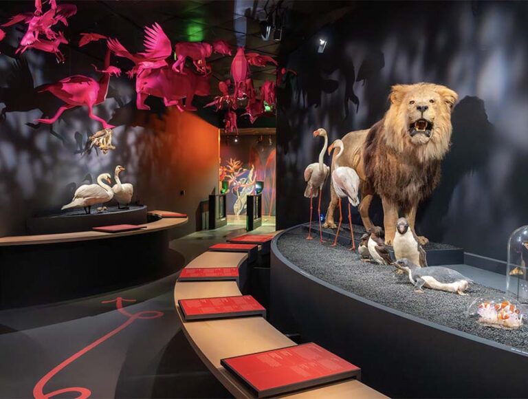 Sex Appeal Exposition Hominides