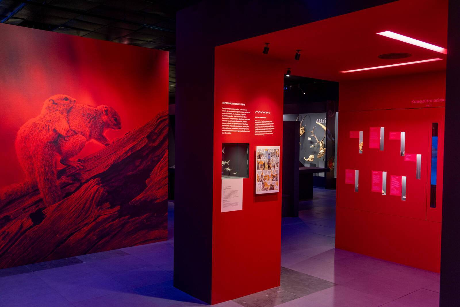 Sex Appeal Exposition Hominides