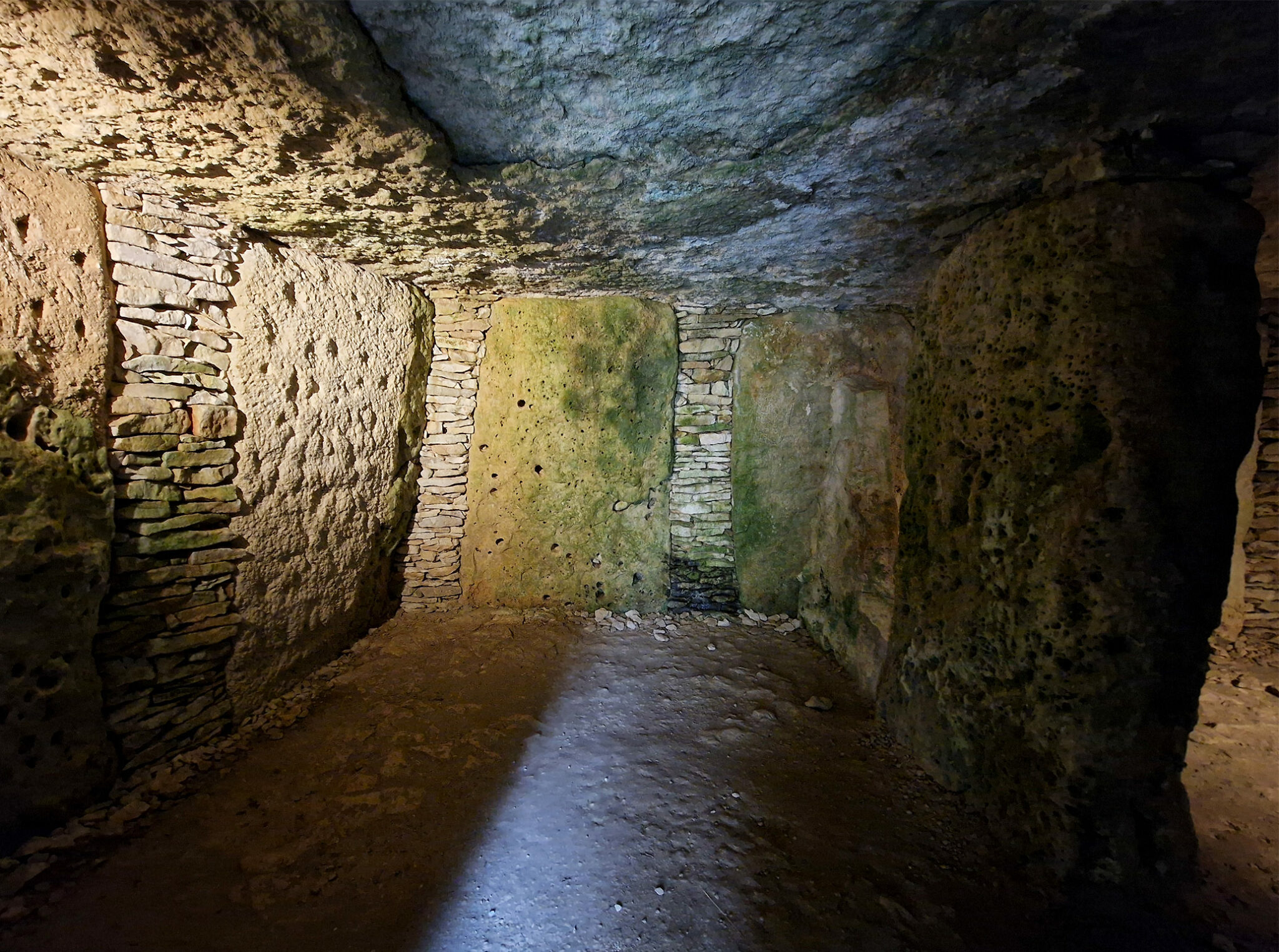 Les tumulus de Bougon - Hominides