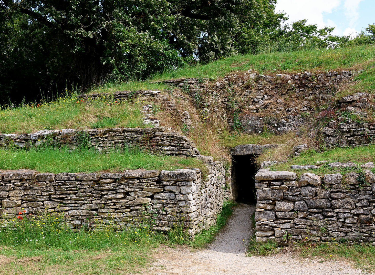 Les tumulus de Bougon - Hominides