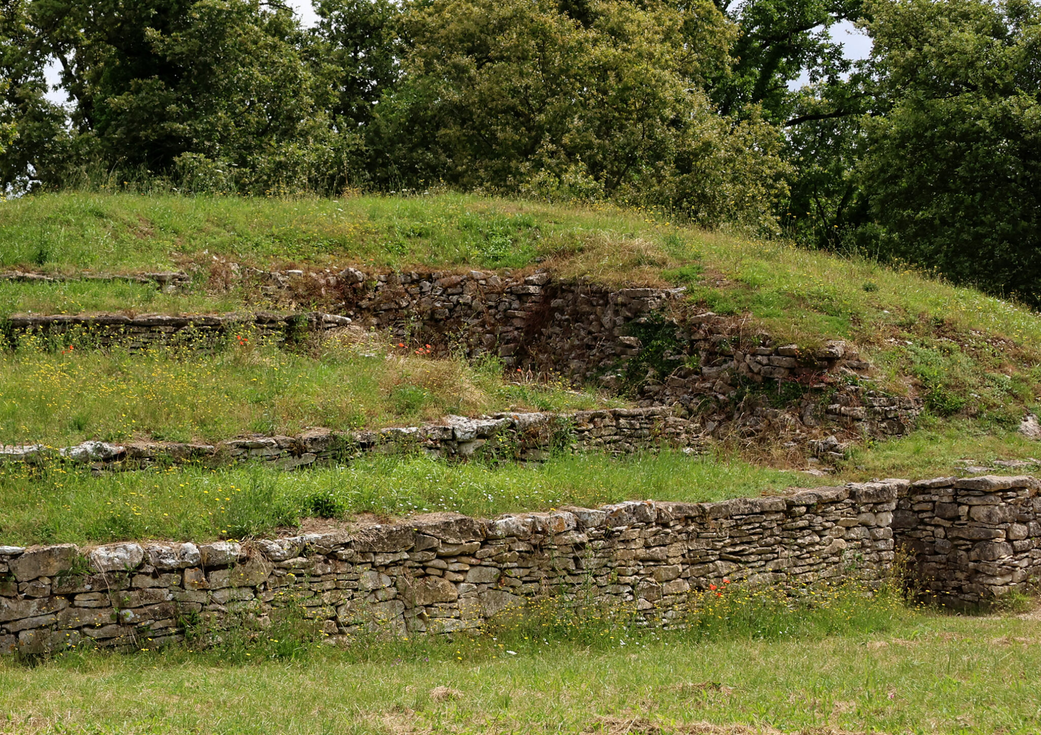 Les tumulus de Bougon - Hominides