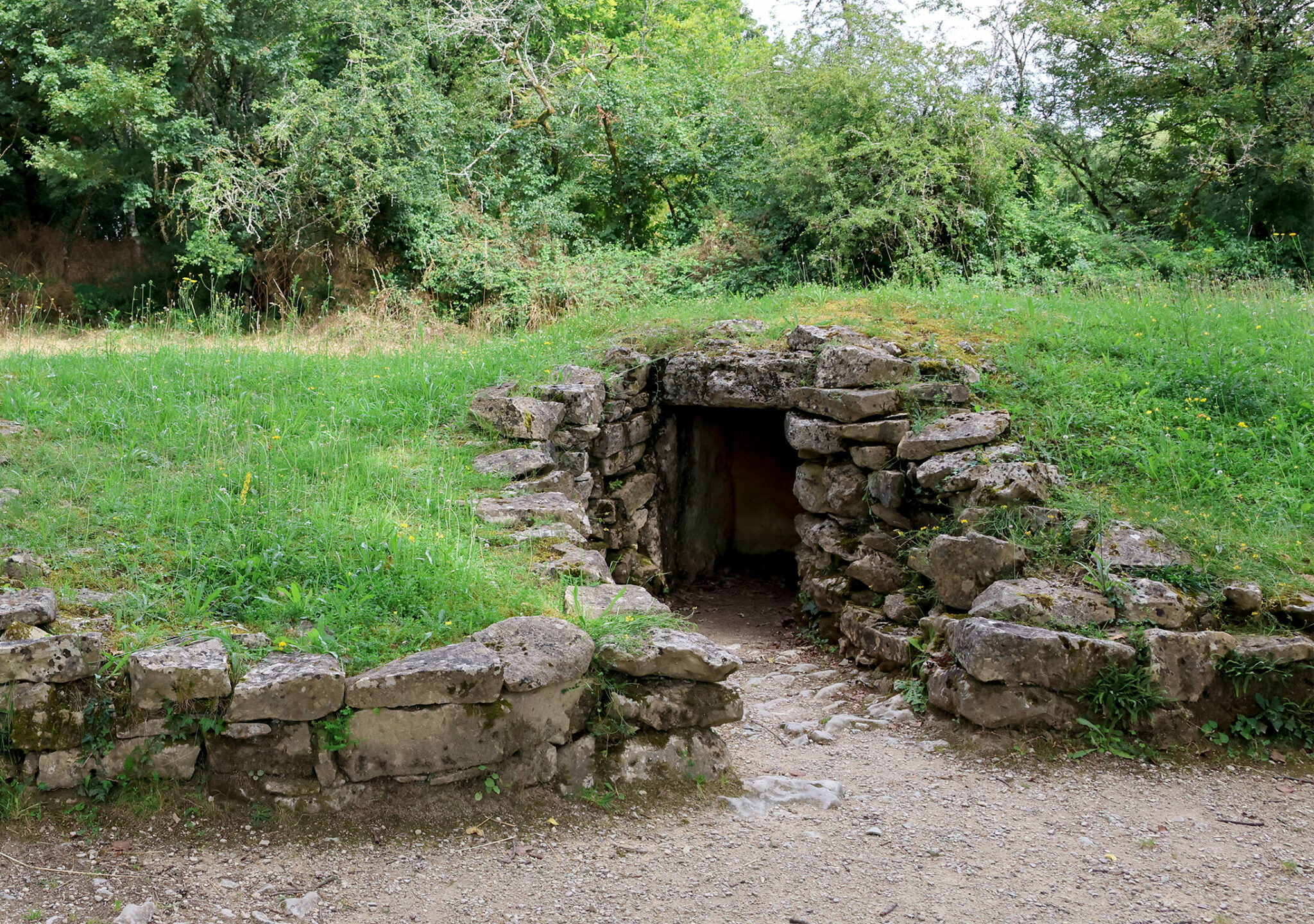 Les tumulus de Bougon - Hominides