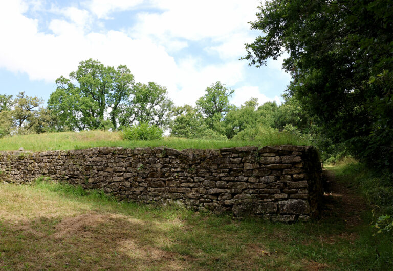 Les tumulus de Bougon - Hominides