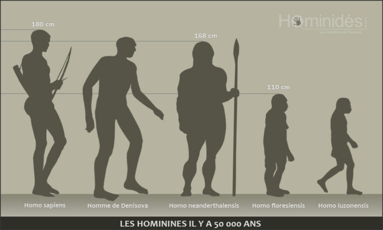 Il y a 50 000 ans plusieurs espèces humaines cohabitaient sur la ...