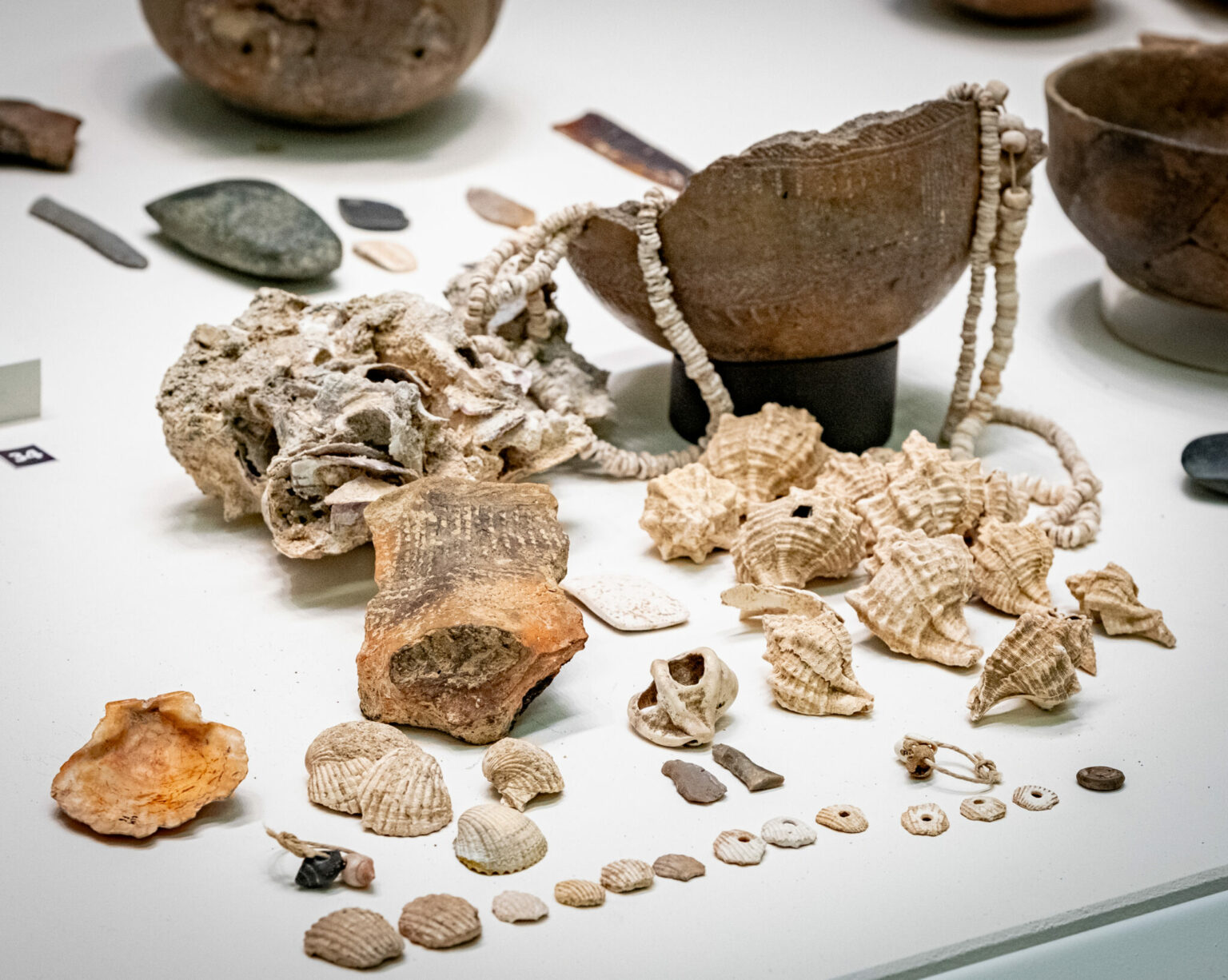 Momie, momification naturelle - Hominides