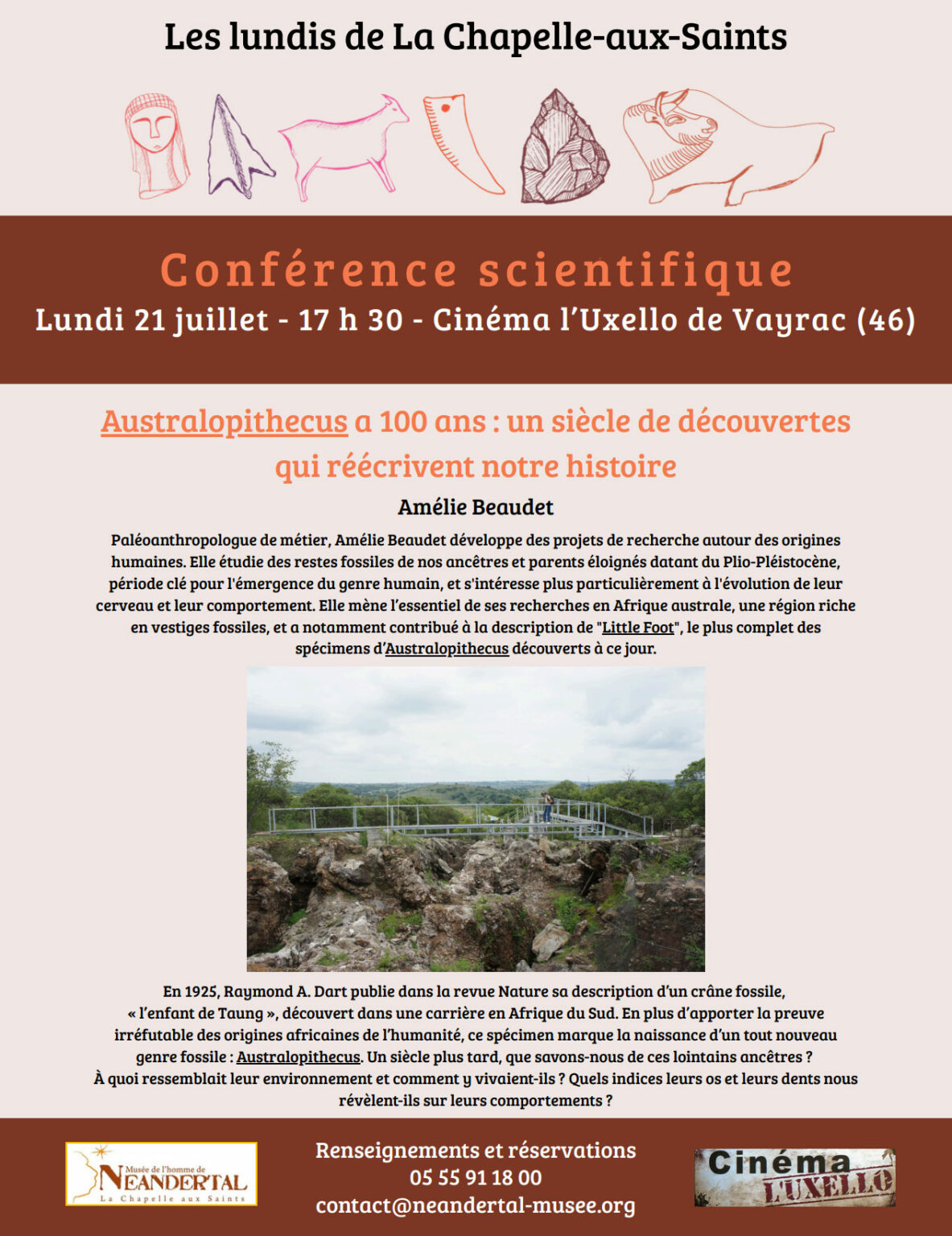 Les hominoïdes, des premiers primates au dernier ancêtre commun - Hominides