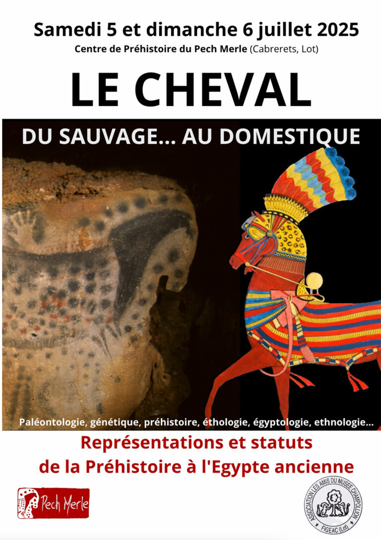 Le cheval du sauvage au domestique - Hominides