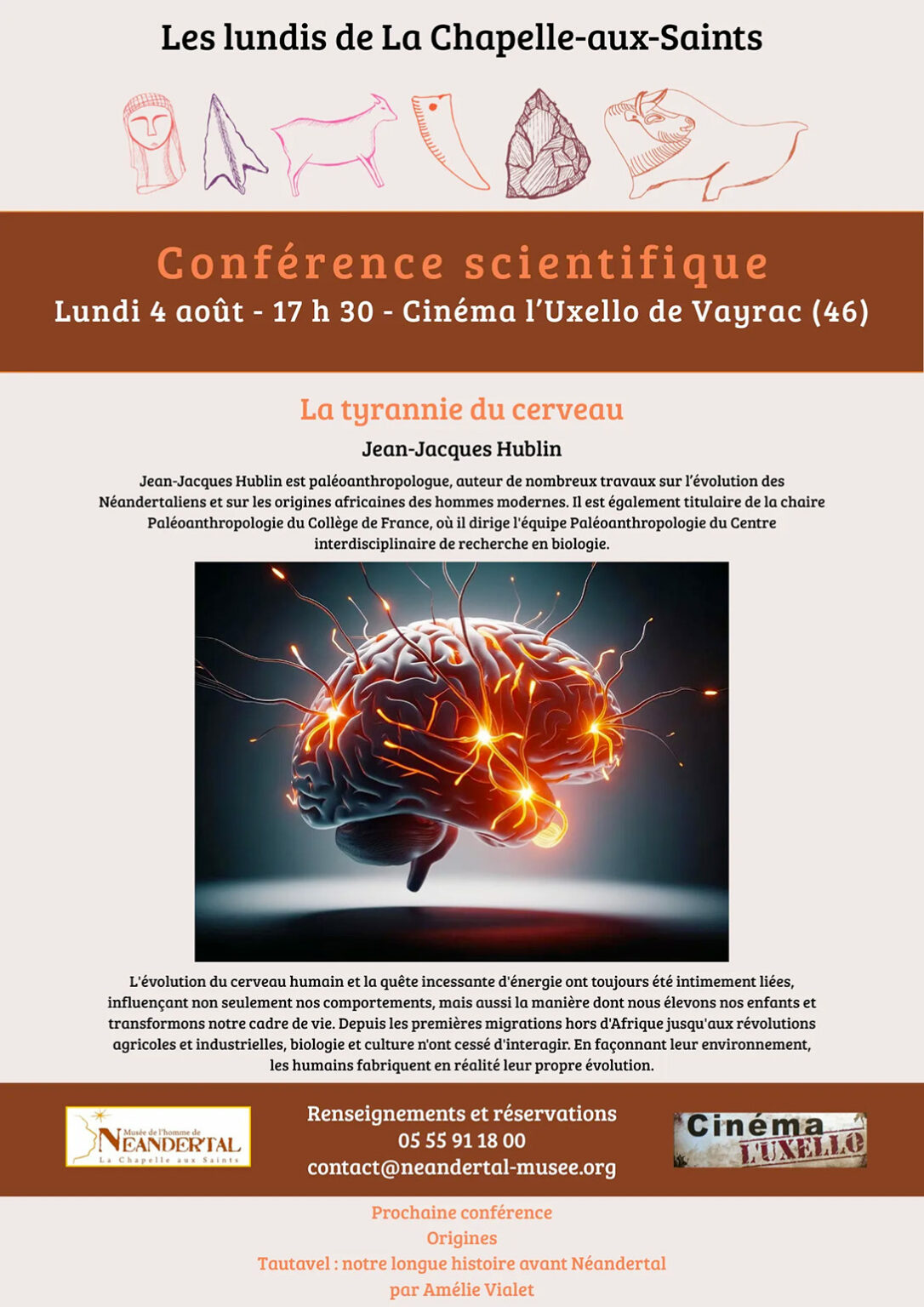 Les hominoïdes, des premiers primates au dernier ancêtre commun - Hominides