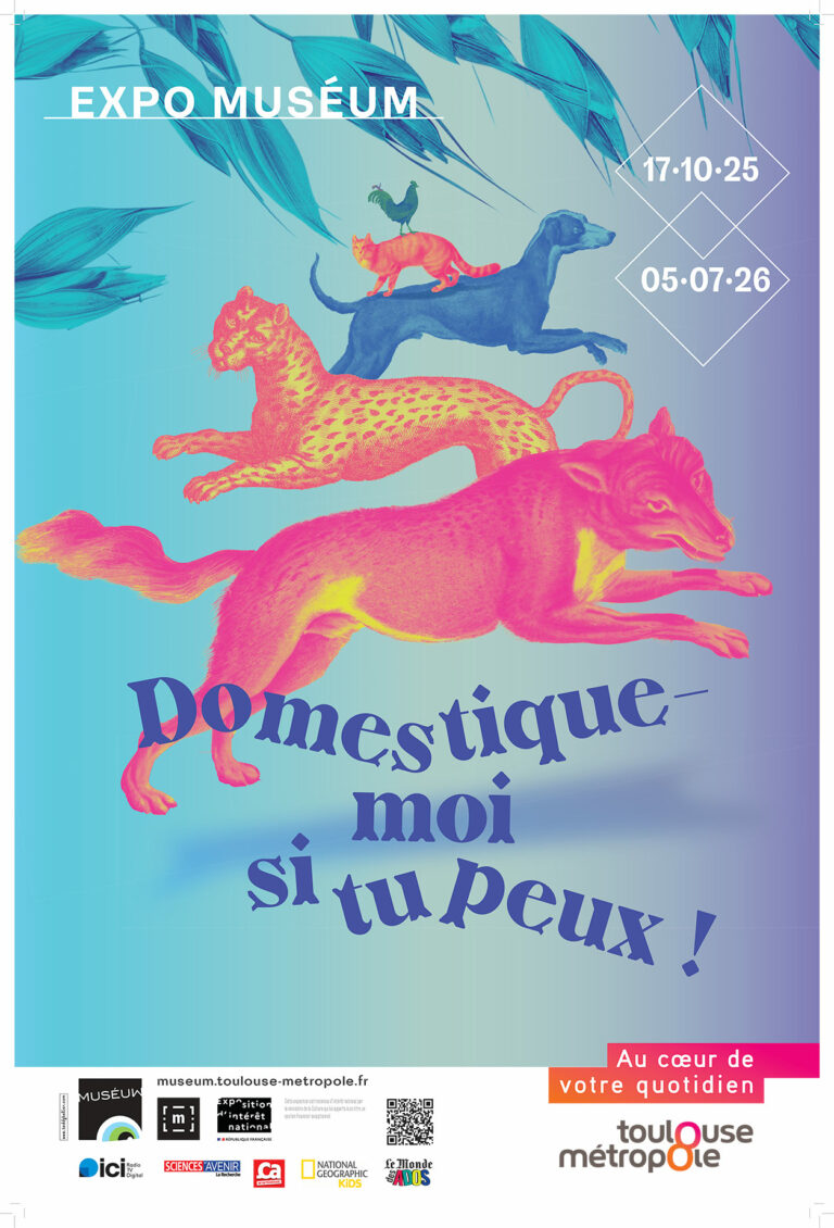 Le plus complet et le plus ancien squelette fossile d’Homo habilis de 2 ...